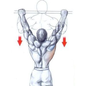 Chin-Up (Barra Fixa Supinada): Desenvolvendo Força e Músculos Superiores